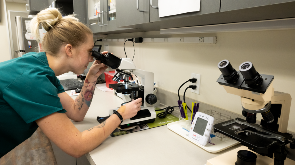 In-House Laboratory | Oyster Creek Animal Hospital | Texas